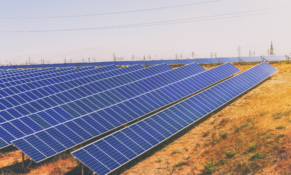 Tunisia ratifies agreement for 100MW solar project with AMEA Power