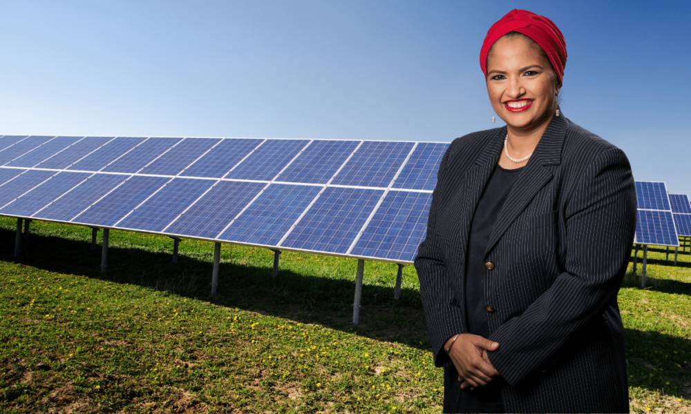 EIMS Africa appoints Tasneem Khan as Project CEO for its solar projects ...