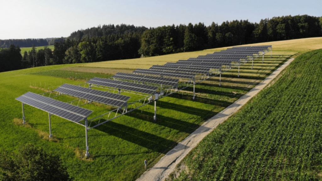 Eskom tenders for solar agrovoltaics system for Komati Power Station