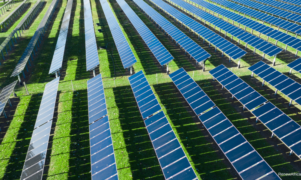 NOA Group acquires 350MW in solar projects in the Free State